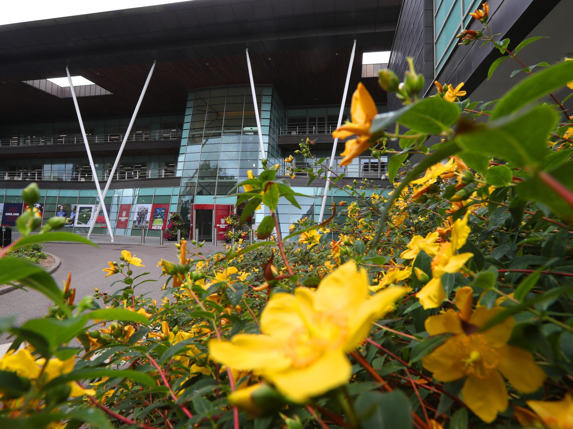 GALLERY | Albion's first day at St. George's Park | West Bromwich Albion