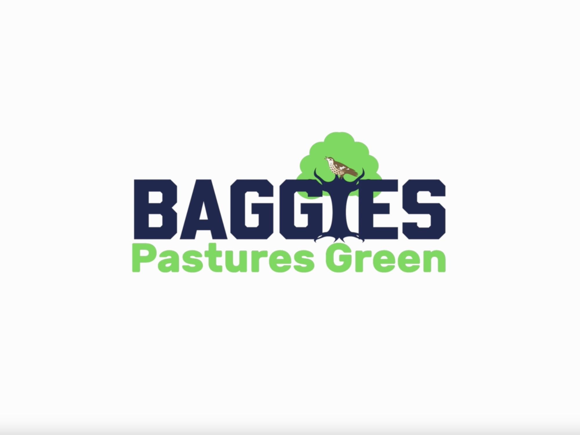 Introducing Baggies Pastures Green | West Bromwich Albion